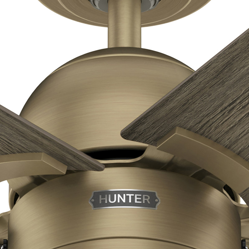 Hunter Fan 52" Erling 6 - Blade Ceiling Fan with LED Light Kit and Pull ...