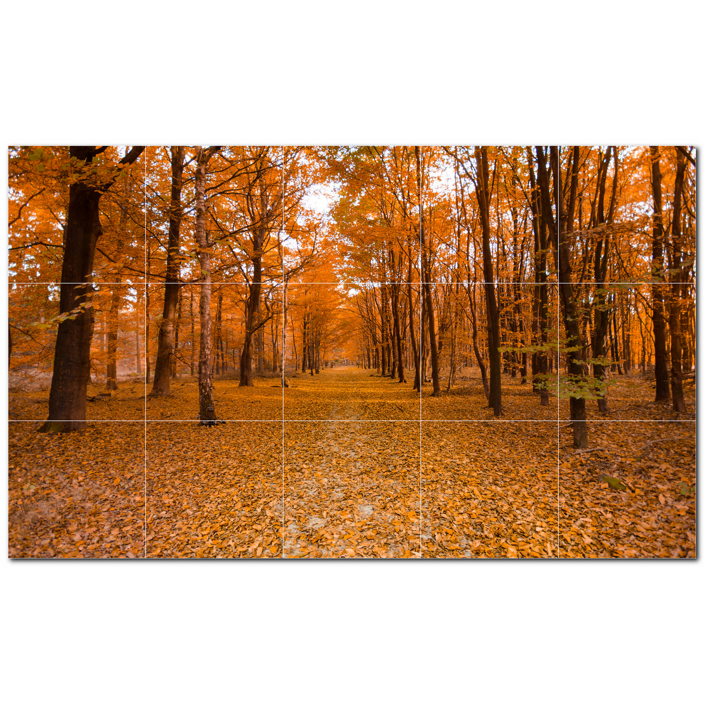 Picture-Tiles.com Autumn Photo 8 x 8 | Wayfair