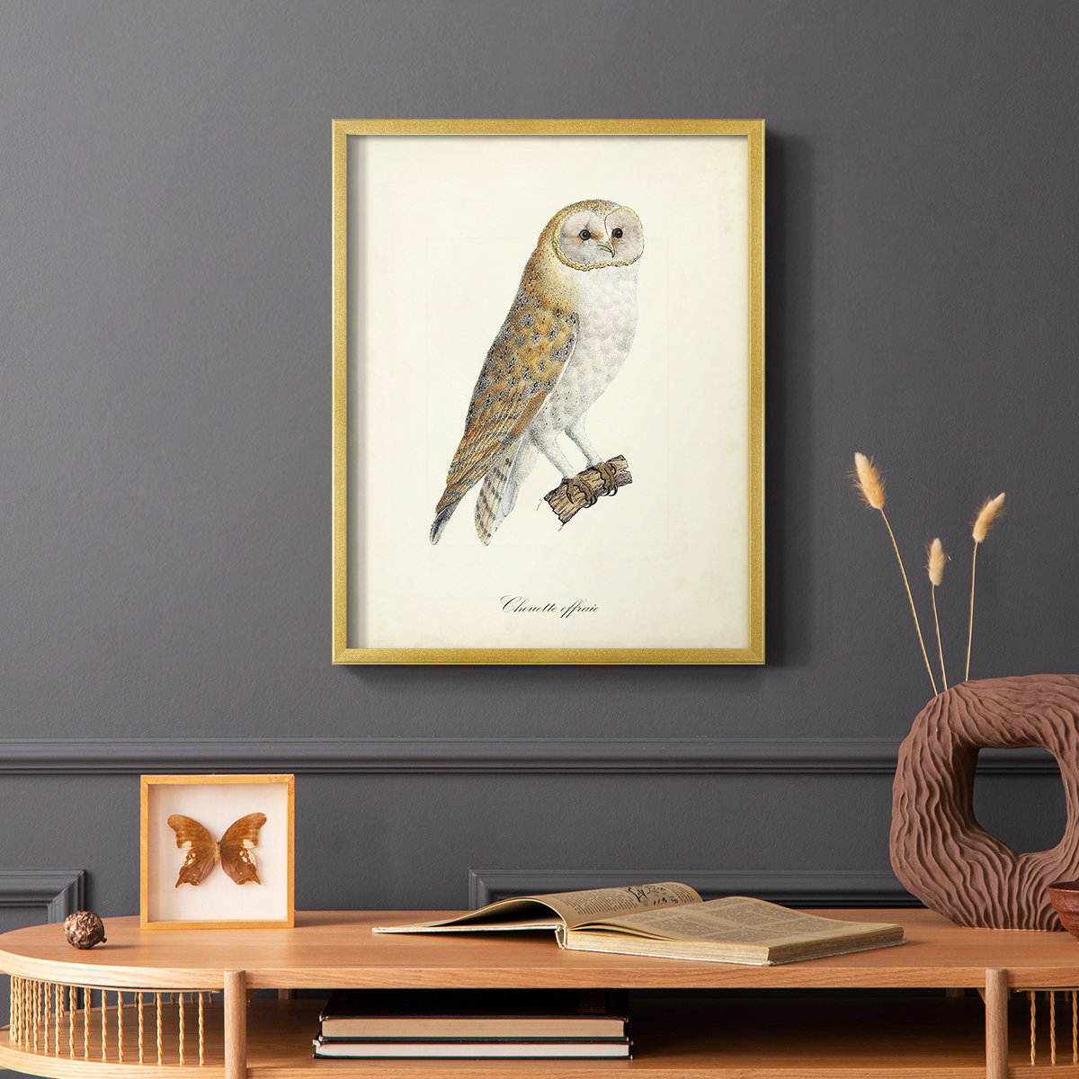 Millwood Pines French Owls VI Framed Print - Solid Wood | Wayfair