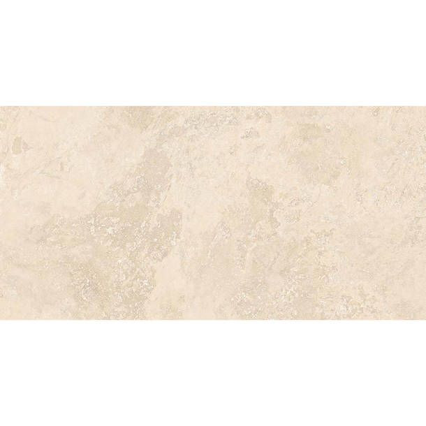 Apollo Tile Splendor 23.62'' W x 47.25'' L Porcelain Singular Tile ...