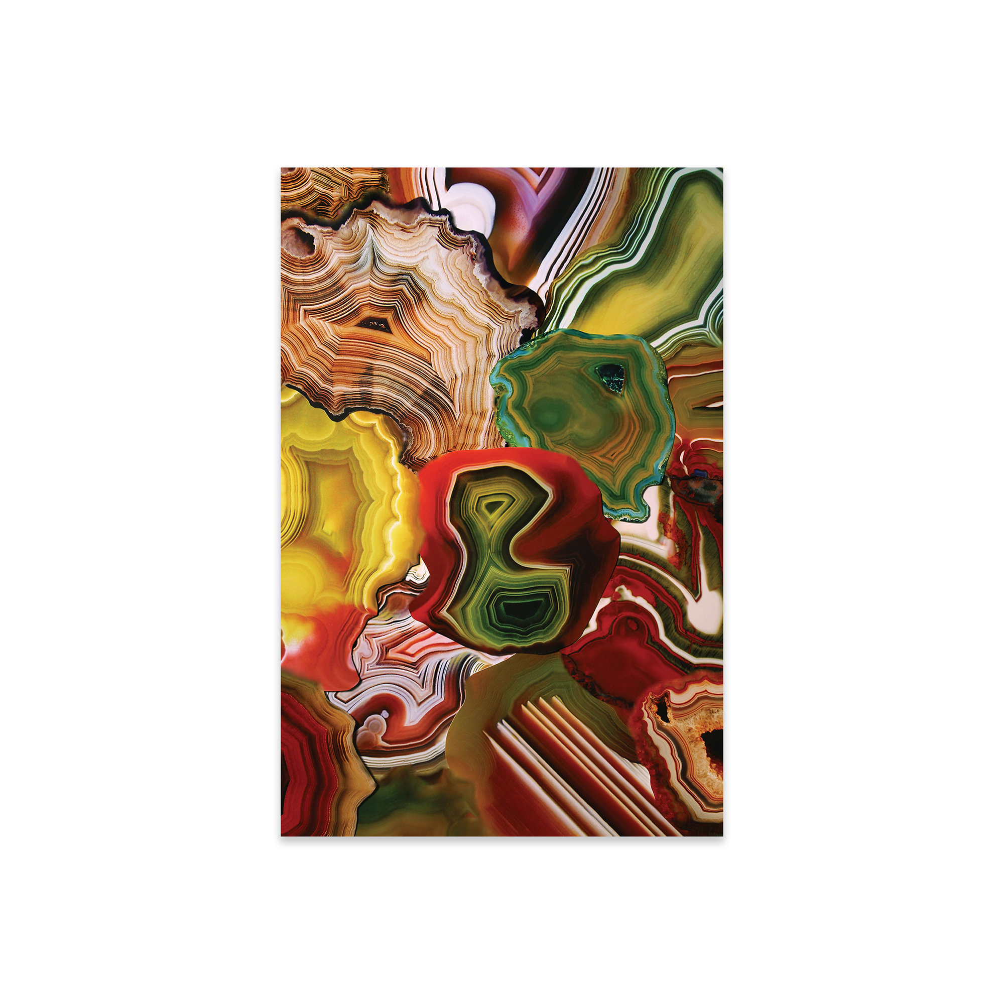 Ivy Bronx Hamno The Layers Of Our Earth On Plastic/Acrylic by Elena ...