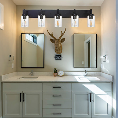 Coastal Bathroom Vanity Lighting You'll Love | Wayfair