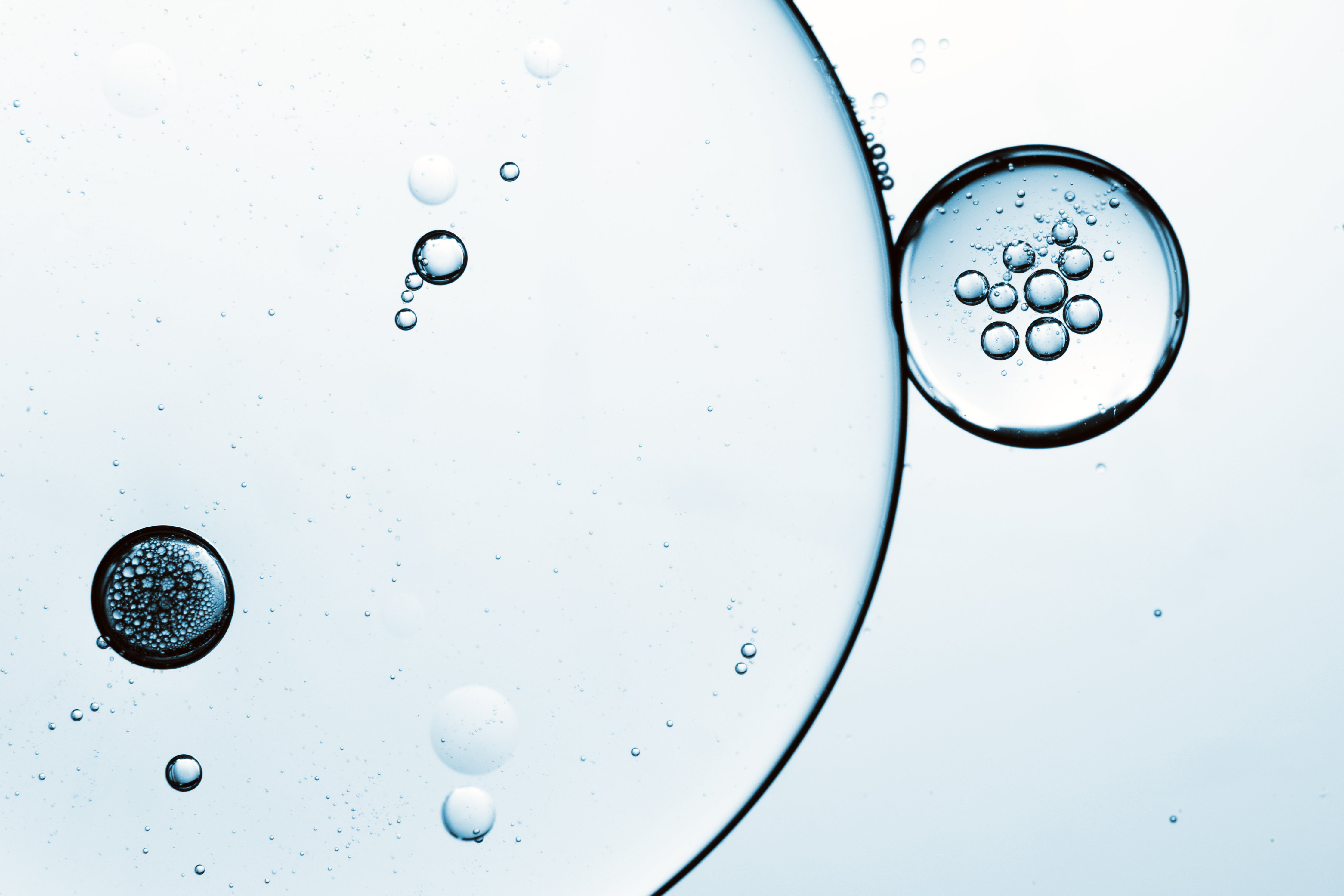 Ebern Designs Bubbles Abstract by Subman | Wayfair