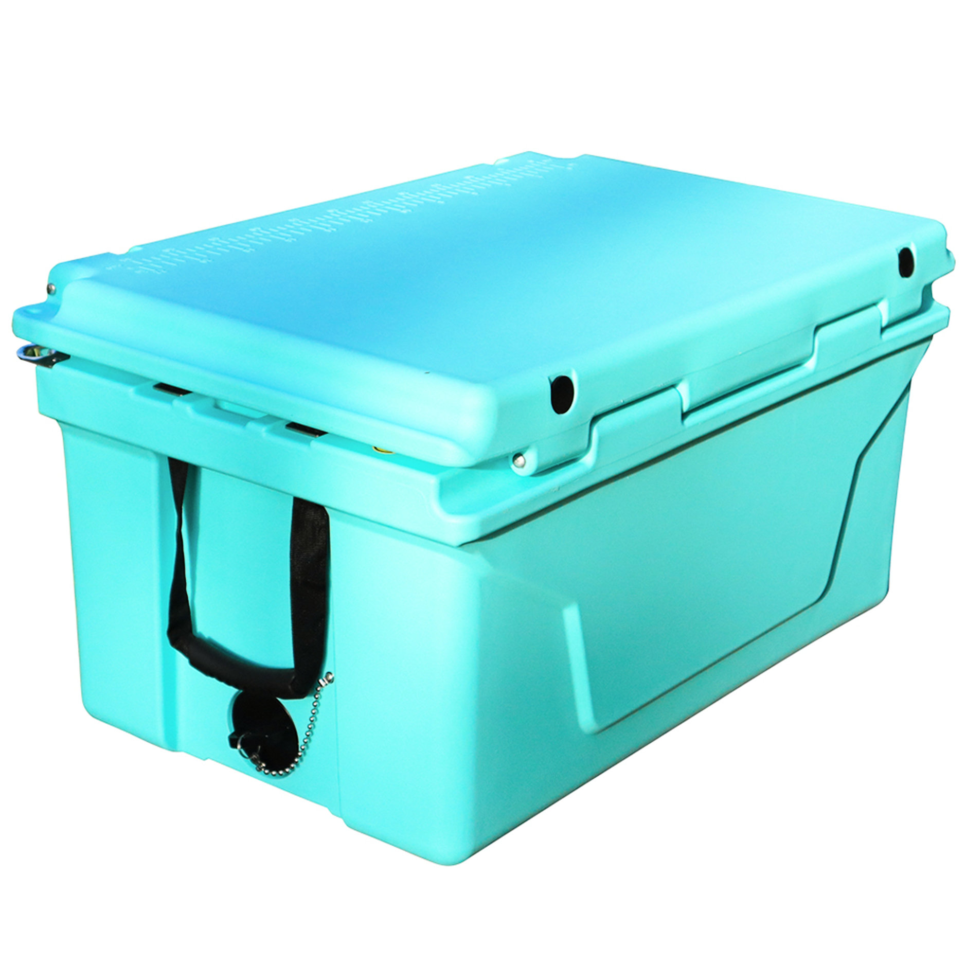 PlywoodPath 65Qt Camping Cooler Box - 5 Cold Storage Blue Color Non ...