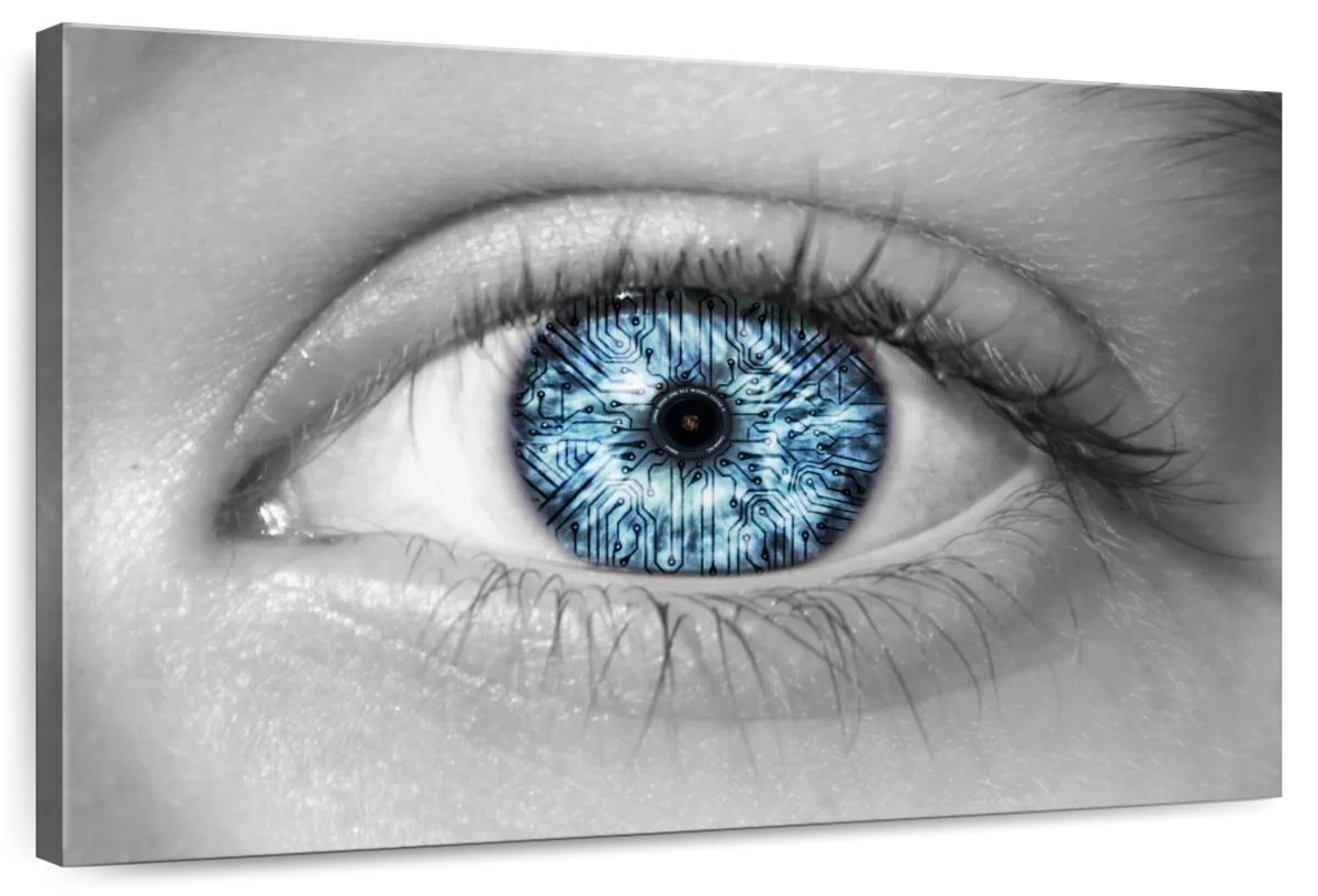 Ebern Designs Alcaraz Cyber Blue Eye | Wayfair