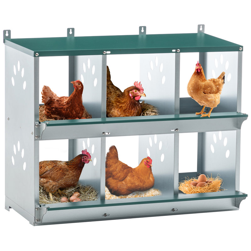 Latitude Run® Chicken Nesting Box Laying Eggs, Roll Out Metal Laying ...