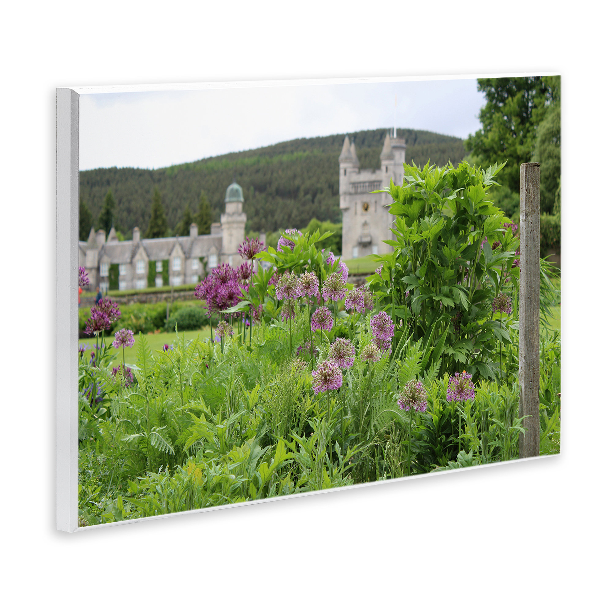 Winston Porter Distant Castle View Wall Plaque Art by Tammy Apple ...