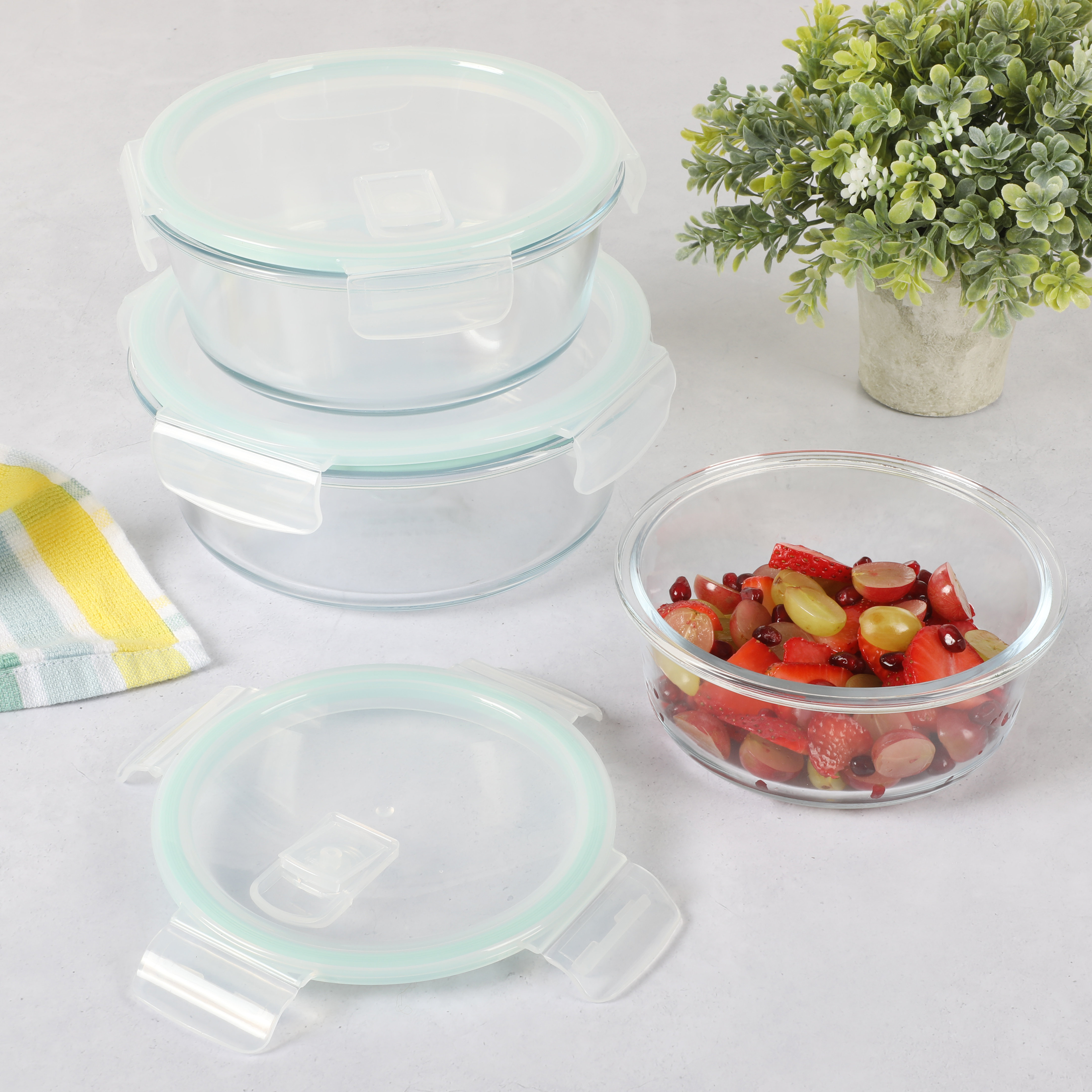Martha Stewart Lamoine 6 Piece Round Storage Borosilicate Glass ...