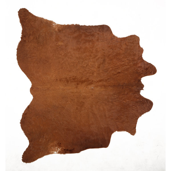 Natur Pur Oakham One-of-a-Kind 5'9" x 6'7" Area Rug in Brown | Wayfair ...