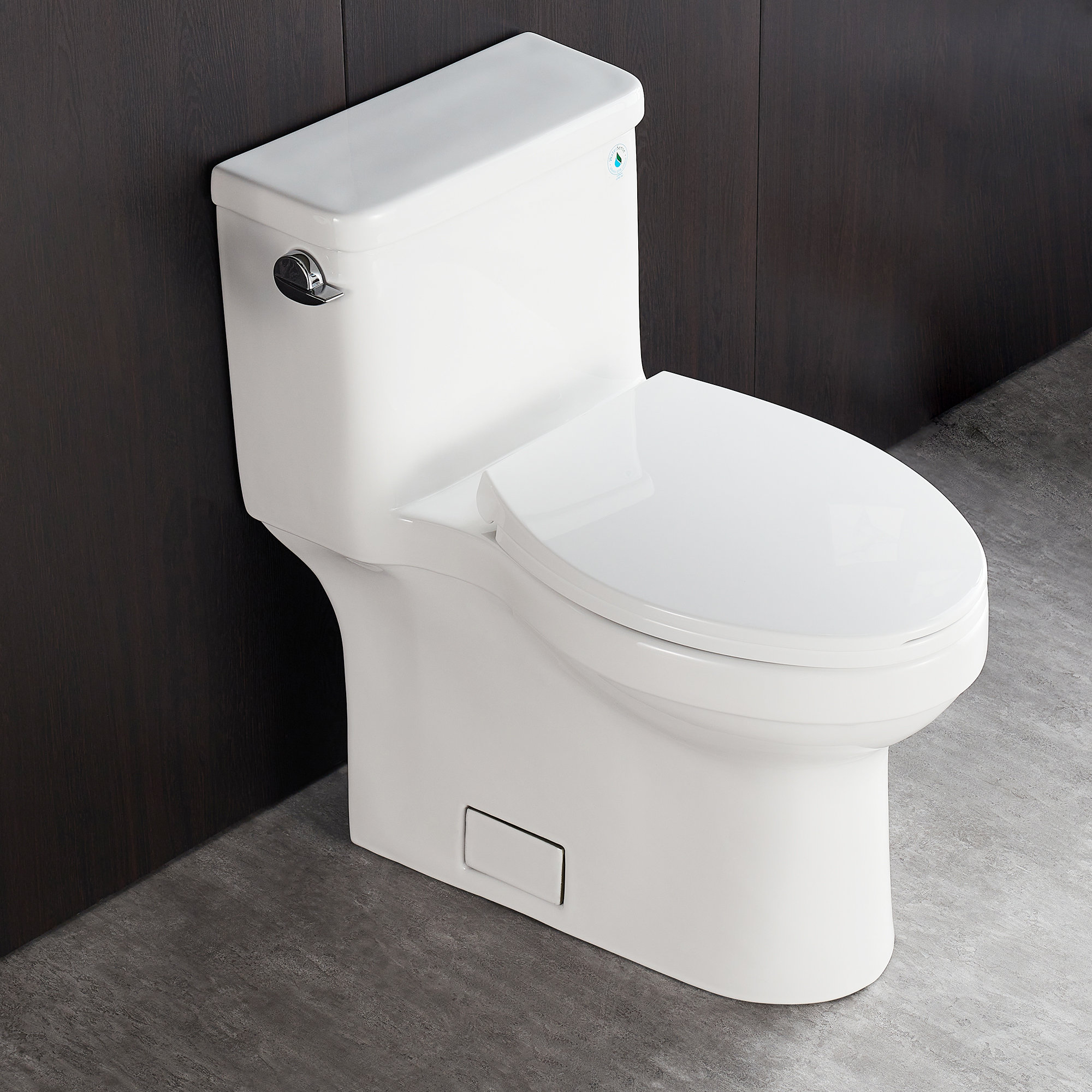 DeerValley Apex 1.28 GPF Elongated One-Piece Toilet with Glazed Surface ...