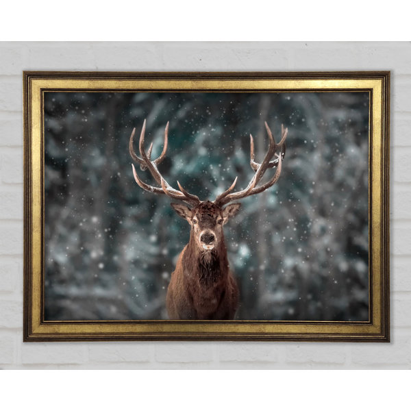 Union Rustic Stag In The Snow - Single Picture Frame Print | Wayfair.co.uk