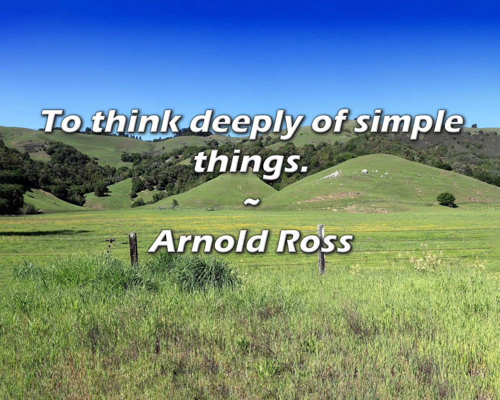 Ophelia & Co. Arnold Ross Quote: To think deeply of simple things ...