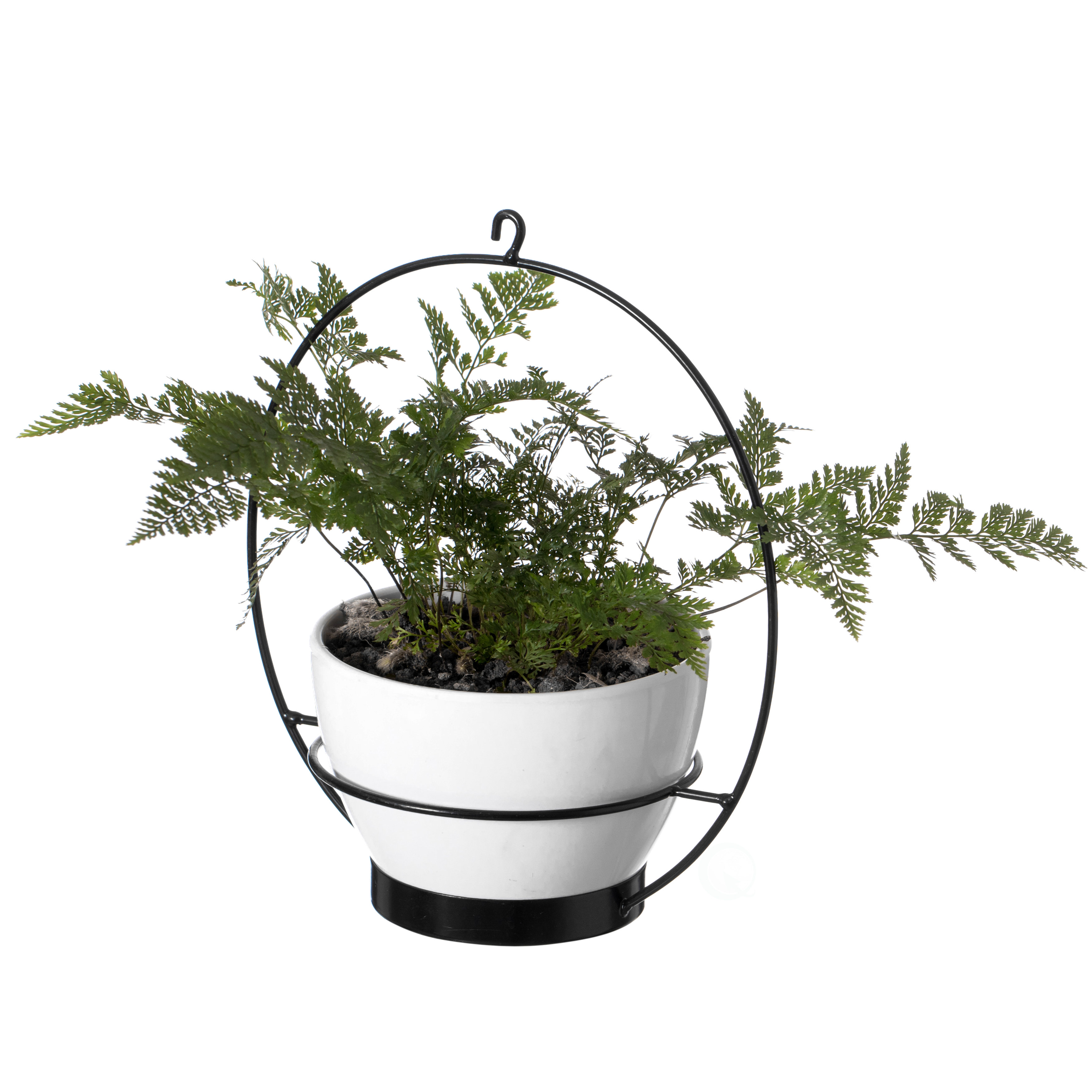 Latitude Run® Decorative Metal Hanging Planter With Tree Pots For ...