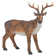 Design Toscano Big Rack Buck Deer Statue & Reviews | Wayfair