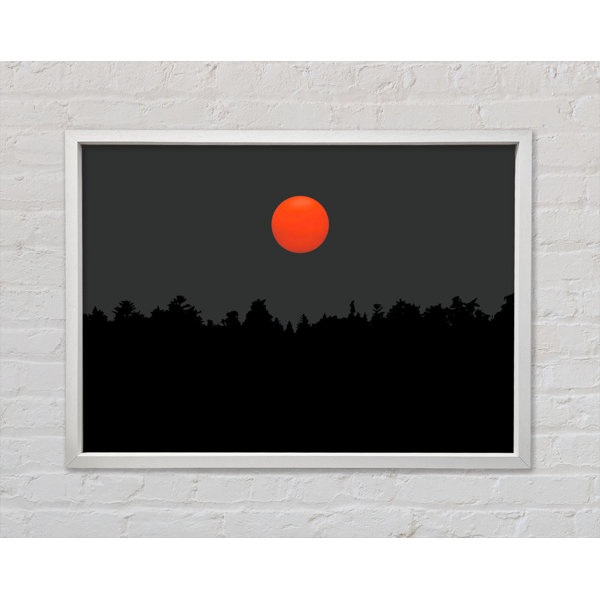 Bright Star The Red Sun Over The Grey Treeline - Single Picture Frame ...