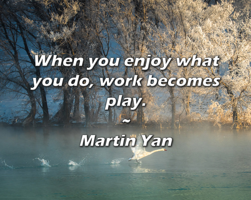Trinx Martin Yan Quote: When you enjoy what you do, work becomes play ...