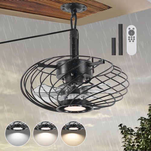 17 Stories 15'' Outdoor Caged Ceiling Fan with LED Lights-Waterproof ...