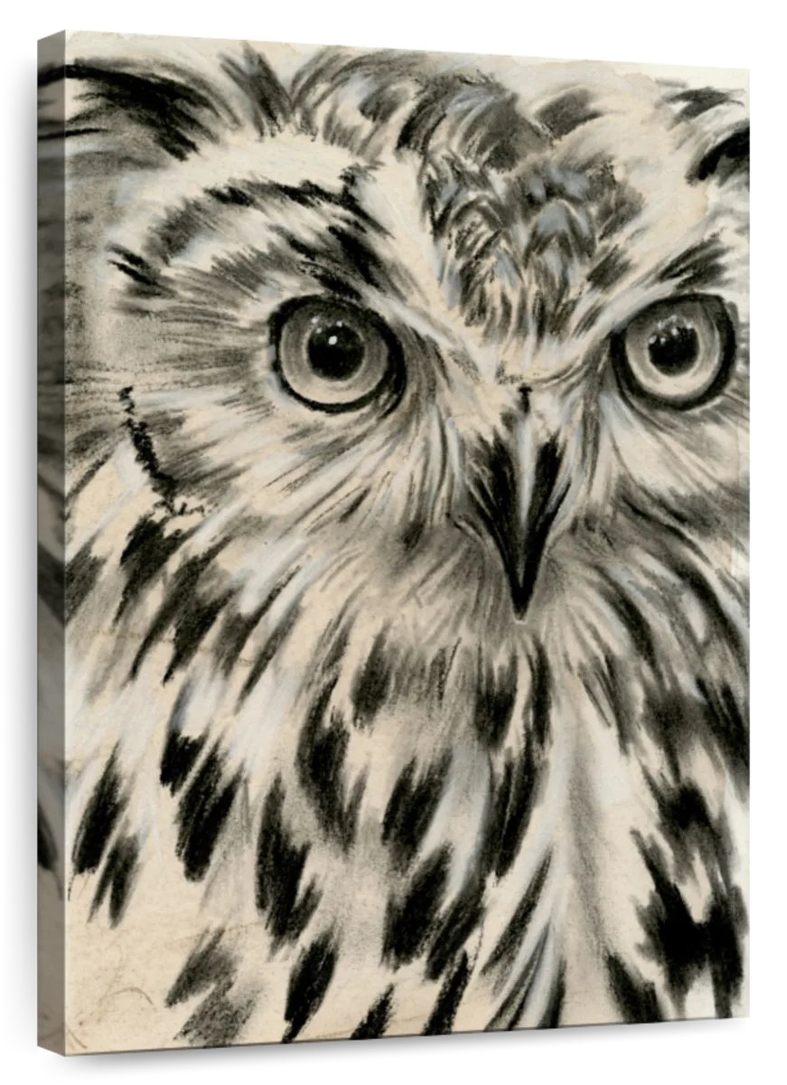 Ebern Designs Brampt Charcoal Owl I | Wayfair