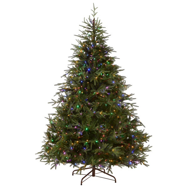 Frasier Grande 78'' Lighted Artificial Christmas Tree & Reviews | AllModern