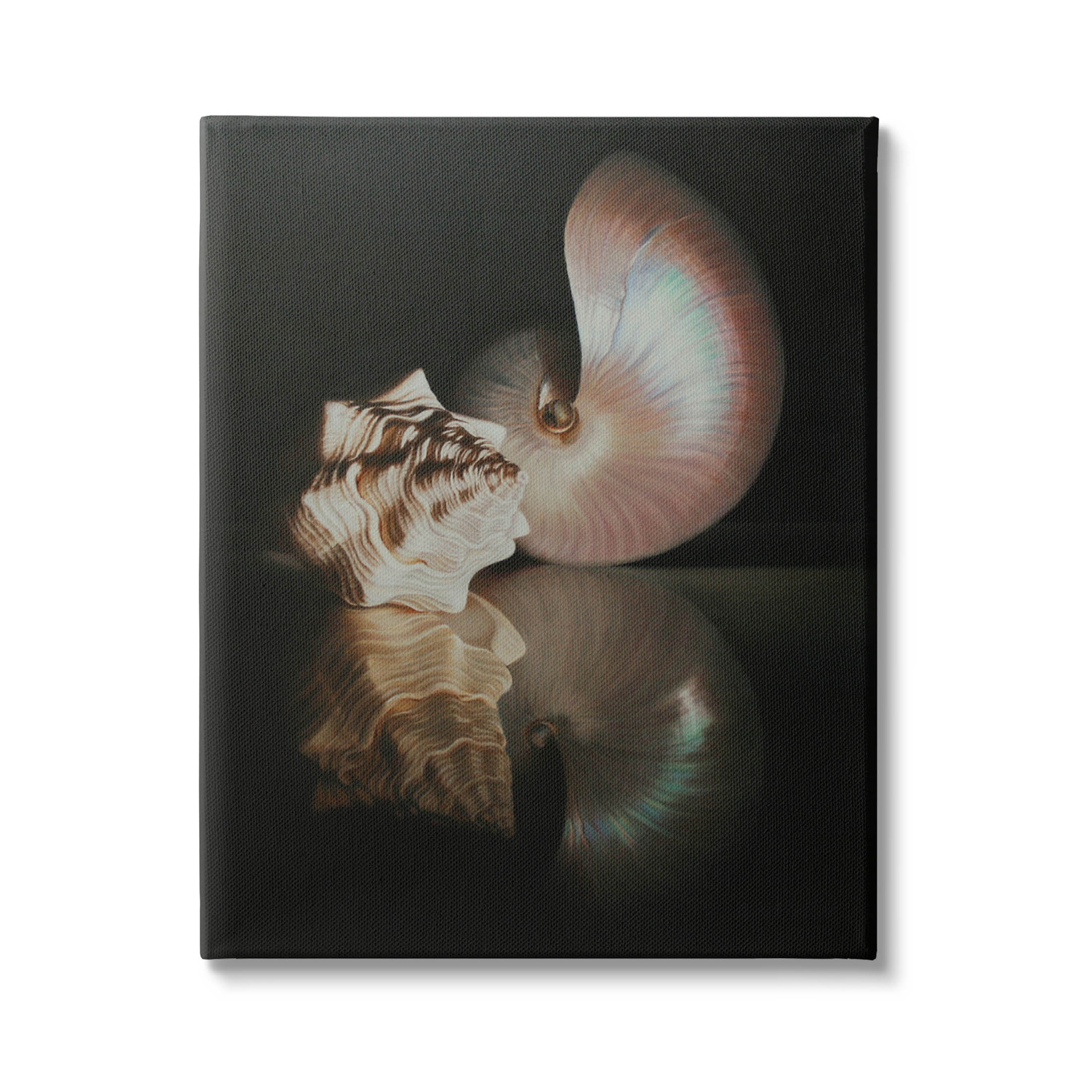 Stupell Industries Dark Sea Shells Still Life Canvas Wall Art By Cecile ...