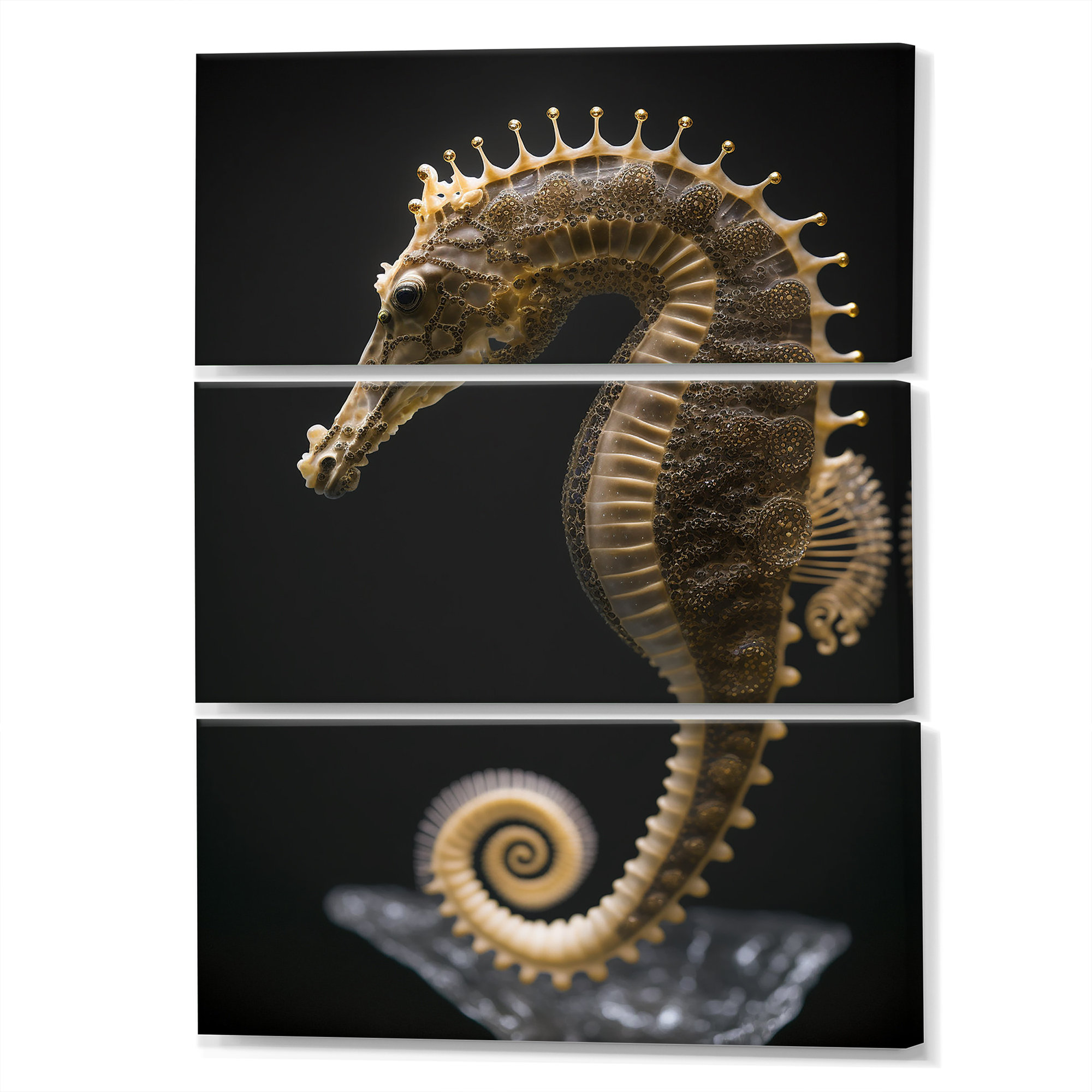 Design Art Gracious Deep Sea Seahorse - Animals Seahorse Canvas Wall ...
