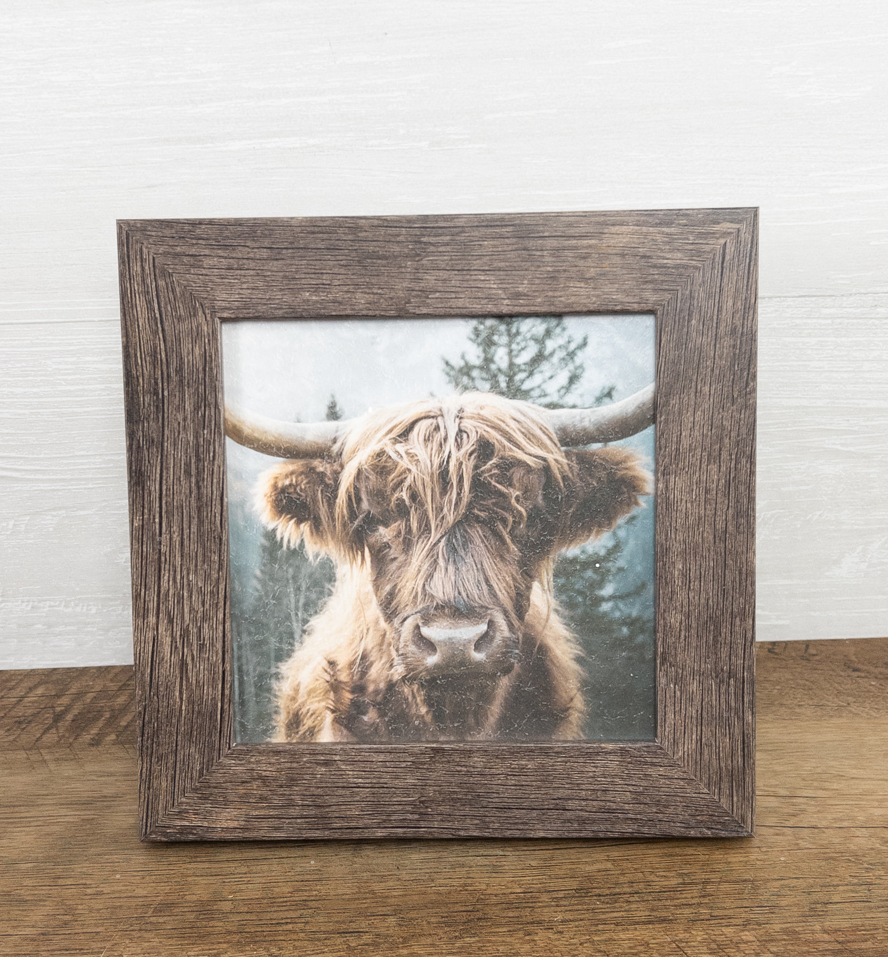 Millwood Pines Highland Cow Cattle Art Framed On Paper | Wayfair