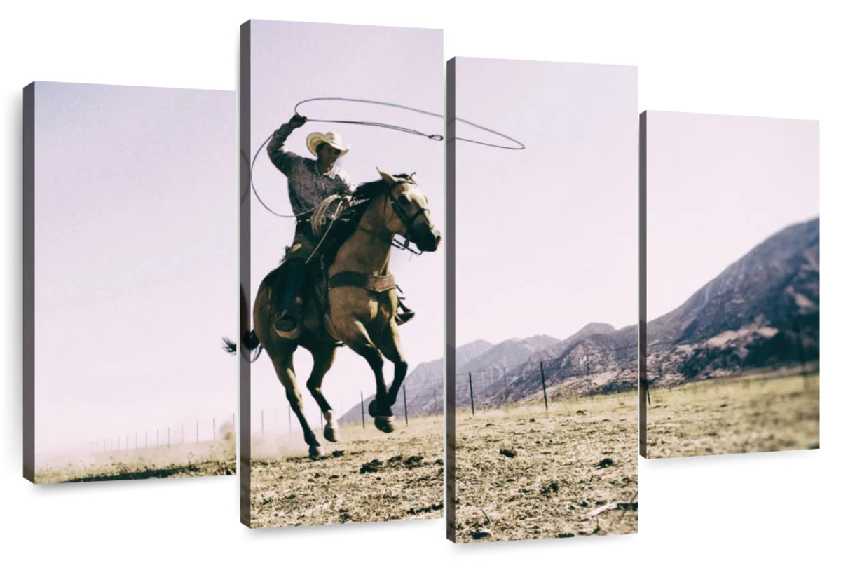 Elephant Stock Cowboy And His Lasso | Wayfair