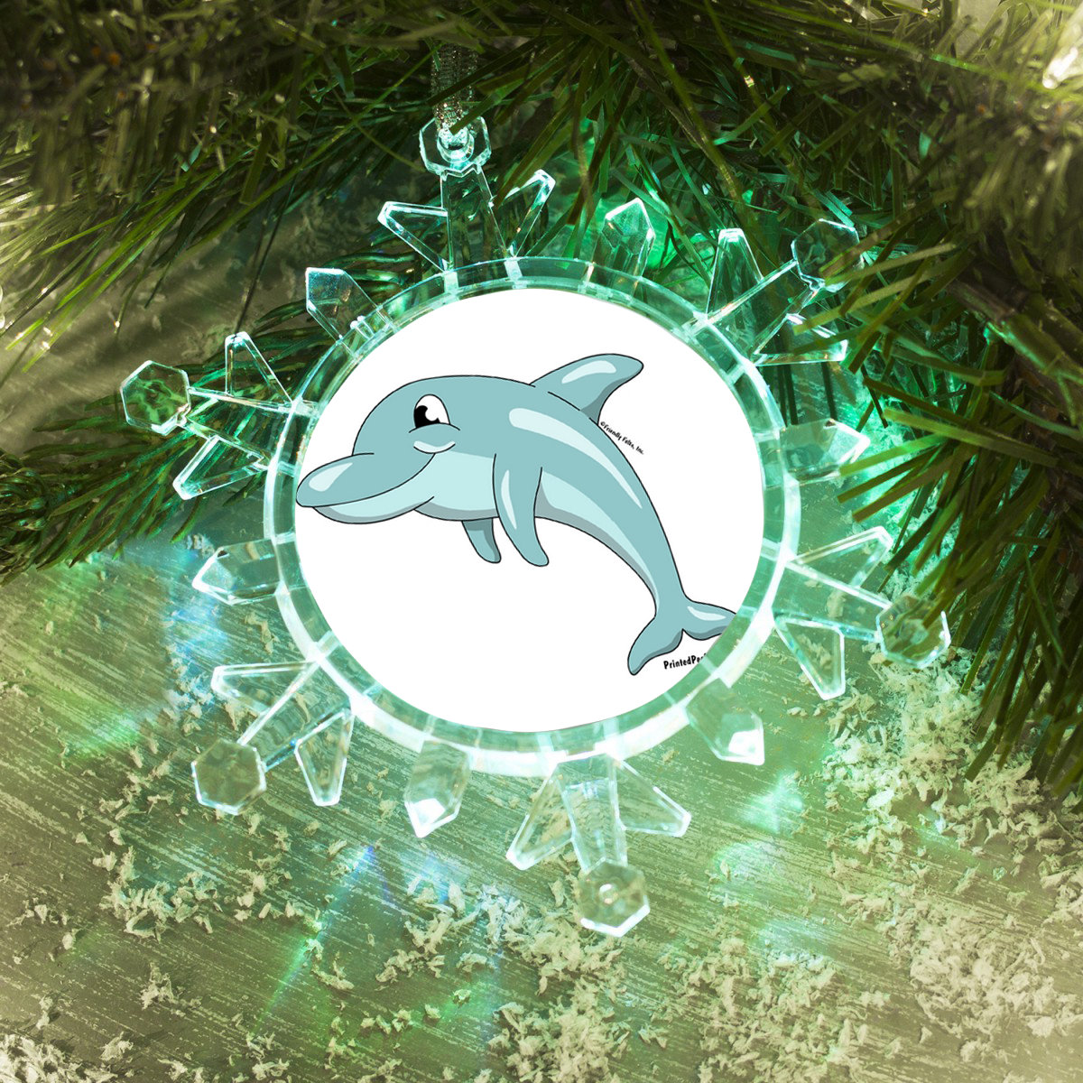 Printed Perfection Personalized Dolphin Lighted LED Snow Flake ...