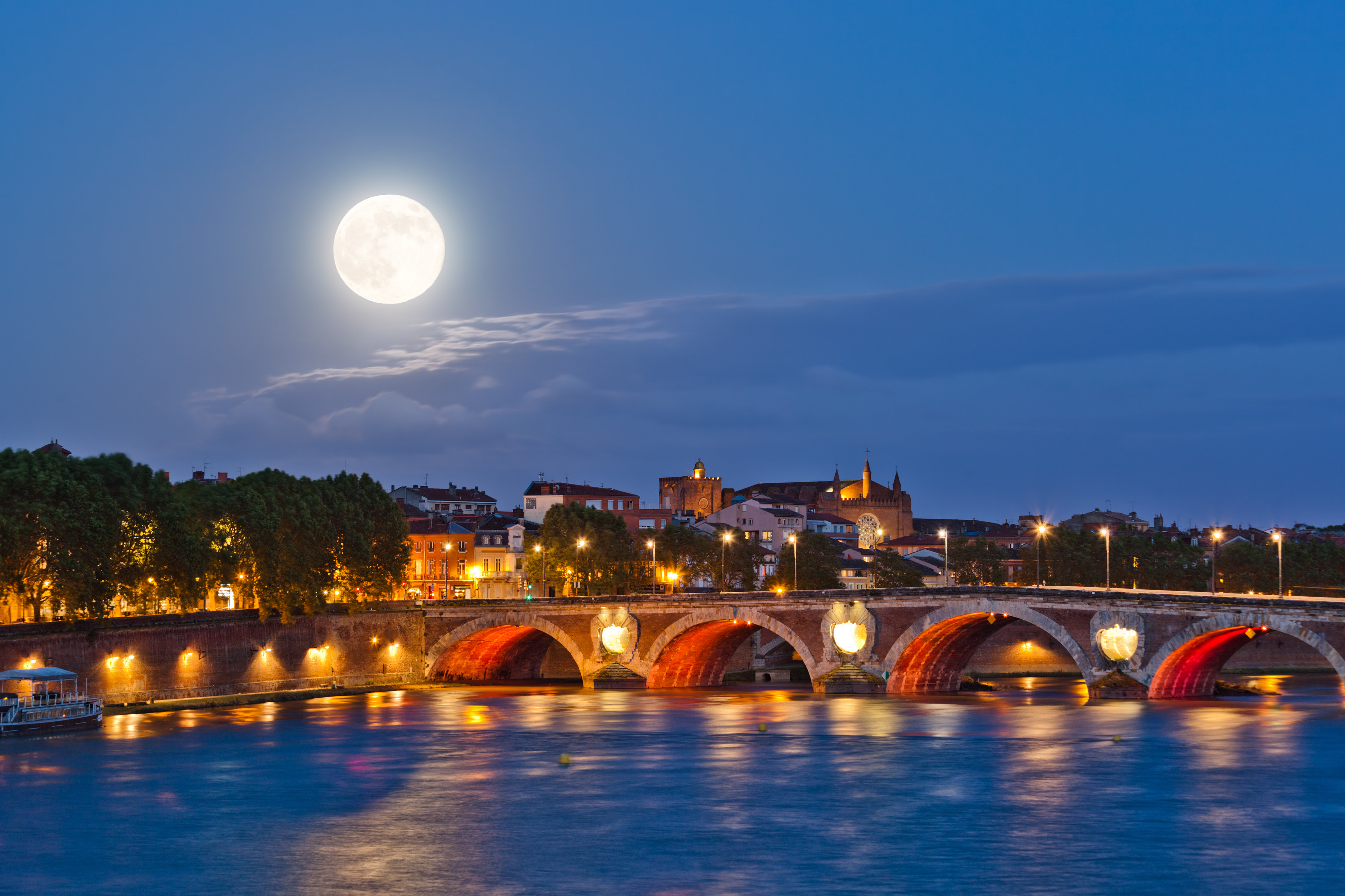 Hokku Designs Pont Neuf - Wayfair Canada