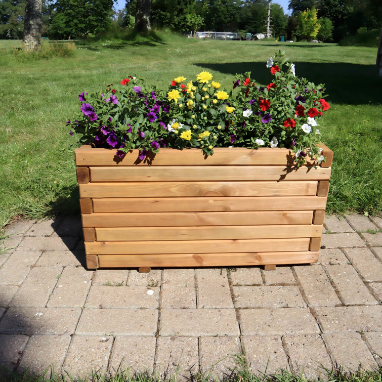 Alpen Home 70cm Pine Raised Trough Planter | Wayfair.co.uk