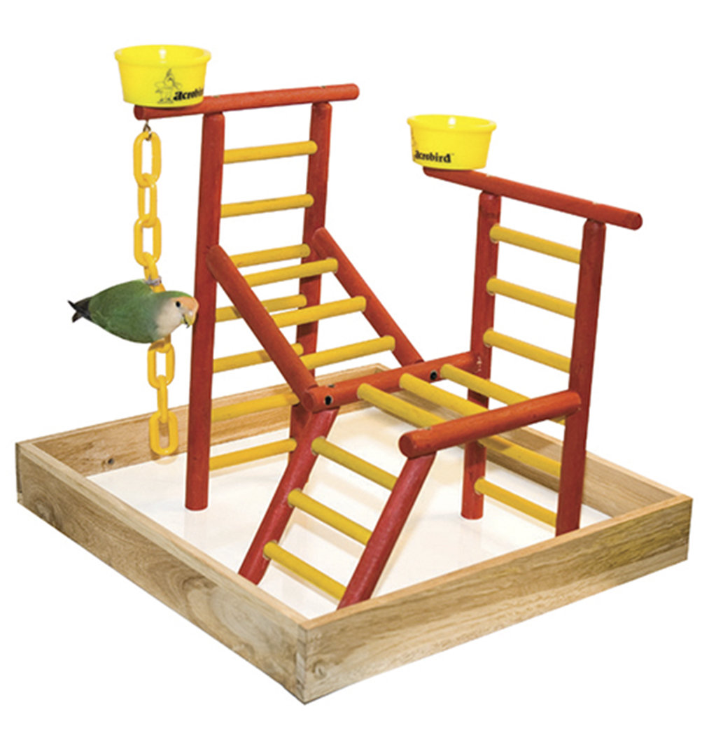 Featherland/Paradise 18'' Wood Bird Play Gym for Table Top & Reviews ...