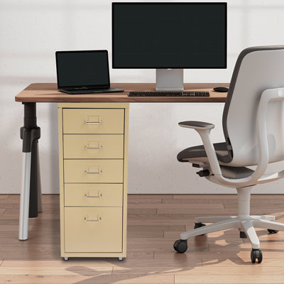 Ebern Designs Riesner 5-Drawer Storage Cabinet with Wheels | Wayfair