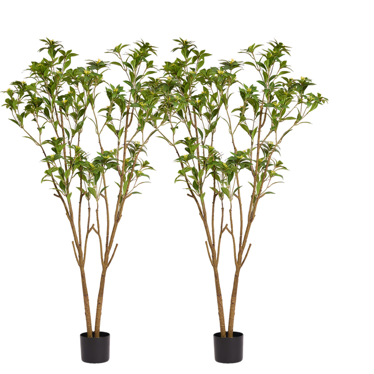 Latitude Run® set of 2 5ft Faux Citrus Tree with Leaves - Lush & Full ...