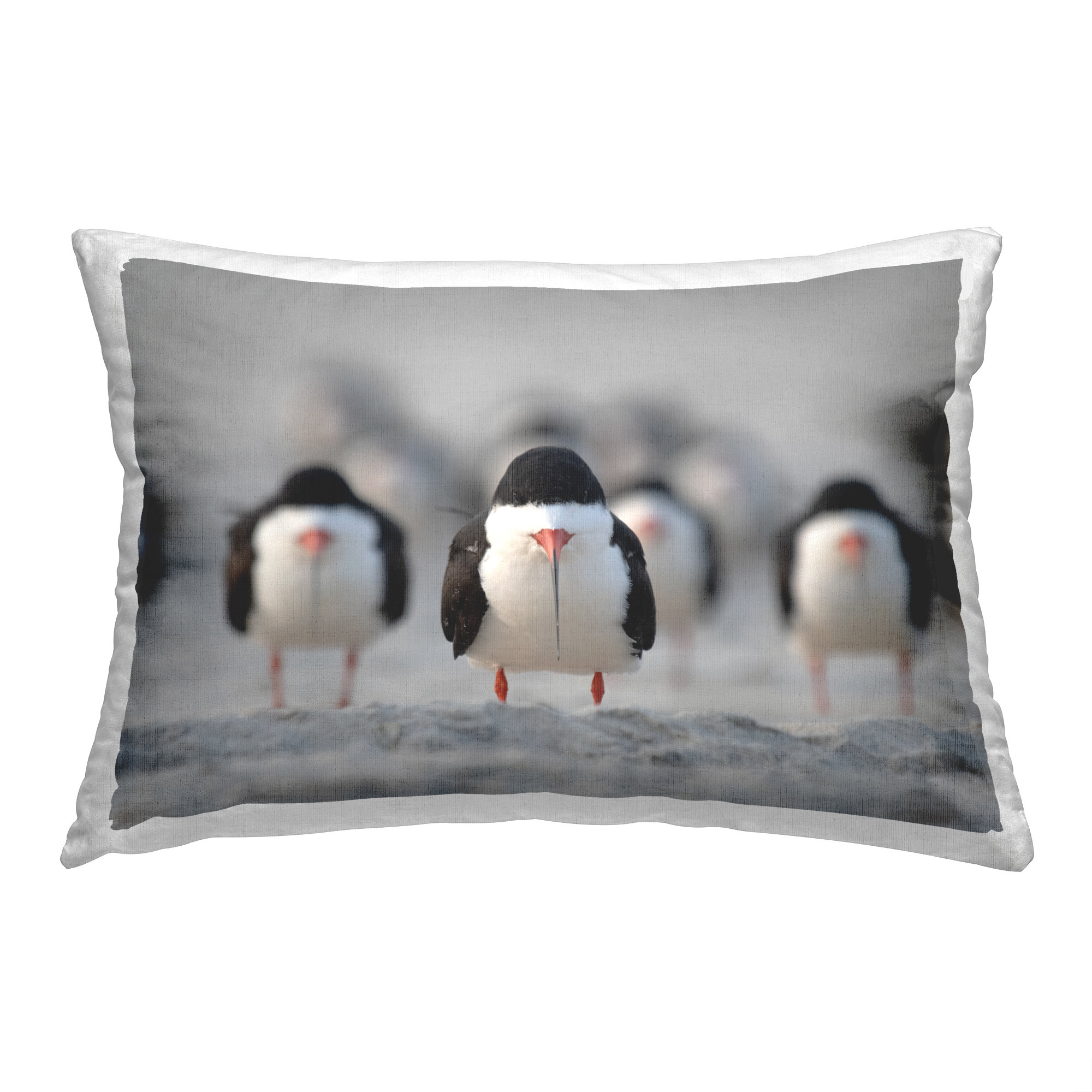 Stupell Industries Funny Birds Lined Up Decorative Printed Throw Pillow ...