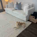 Wade Logan® Charvik Solid Color Handmade Area Rug in Ivory & Reviews ...