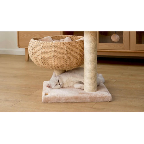 PetPals Handwoven Cat Tree with Perches Scratching Post & Reviews | Wayfair