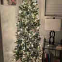 The Holiday Aisle® Grande Fir Pencil Slim Tree with Clear Lights ...