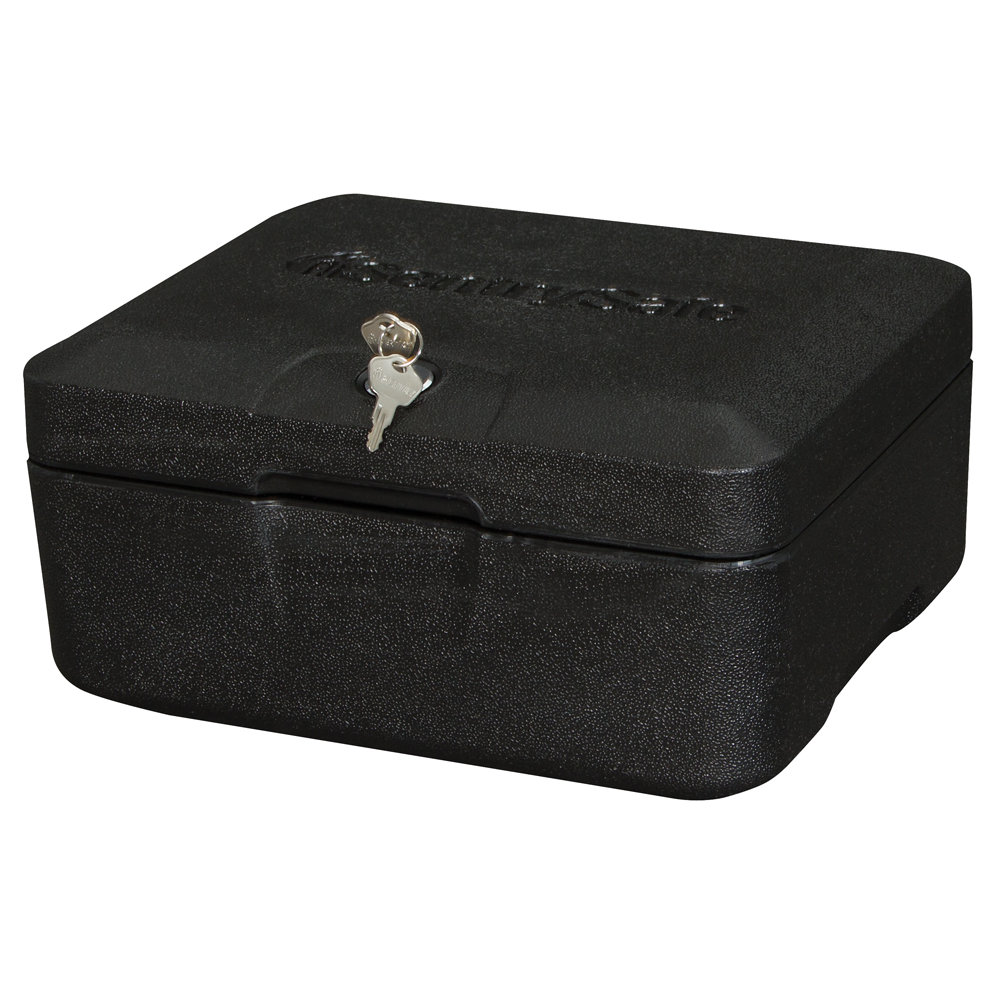 Sentry Safe SentrySafe 0.15 Cu. Ft. Fireproof Chest Safe Box with Key ...