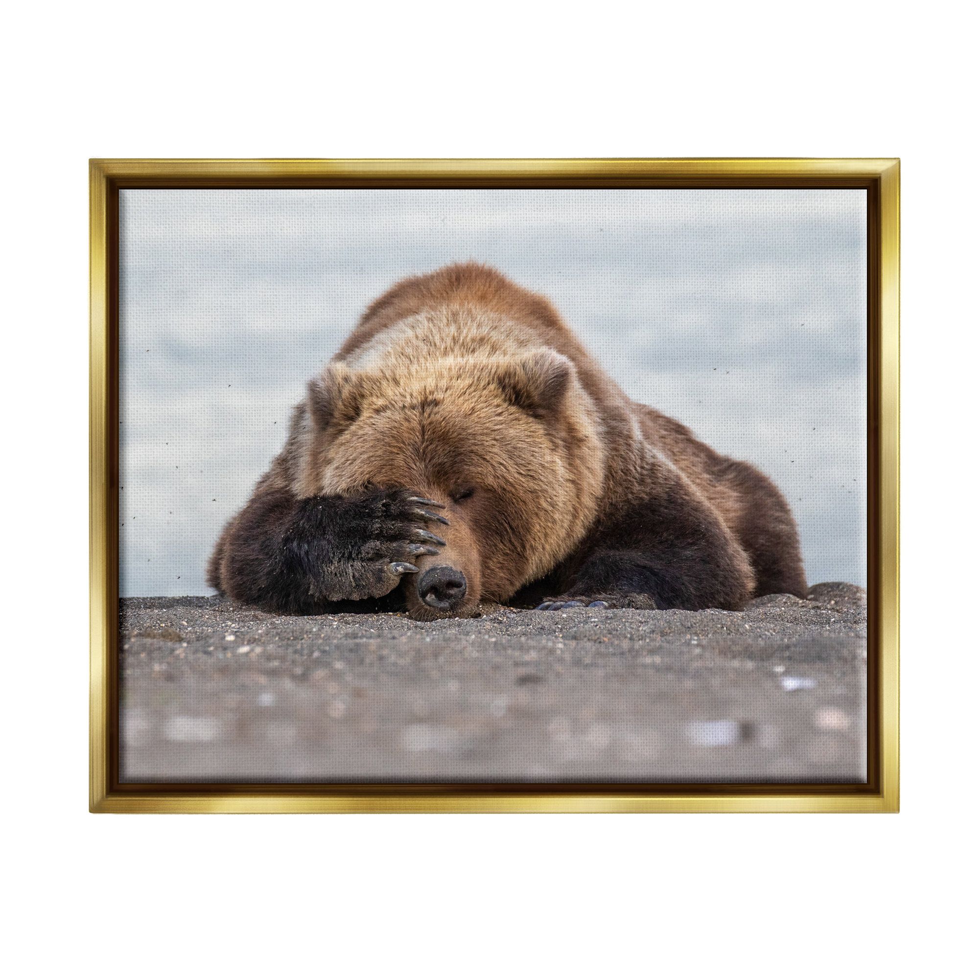 Stupell Industries Ba-399-Floater Monday Blues Bear Framed On Canvas by ...