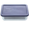 Pyrex Storage Plus Food Storage Set & Reviews | Wayfair