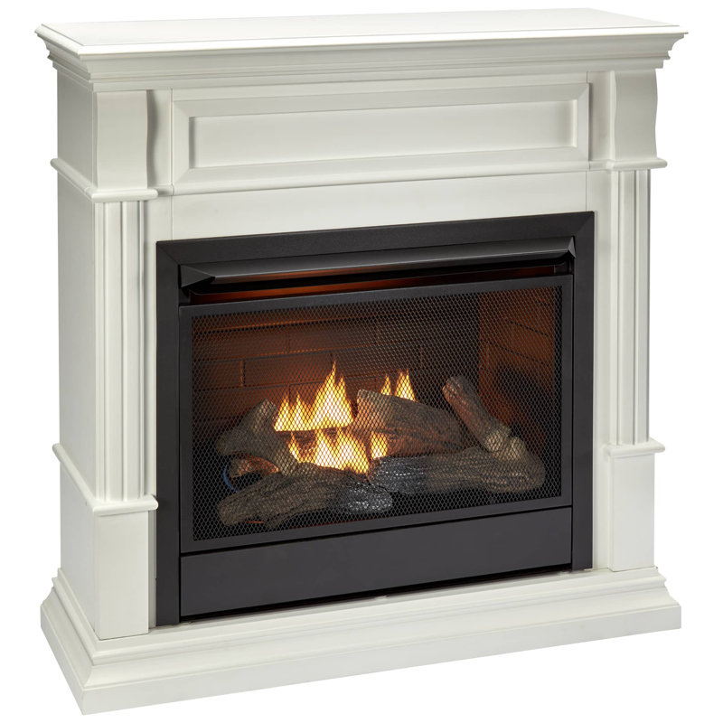 Darby Home Co Duluth Forge Dual Fuel Ventless Gas Fireplace With Mantel ...