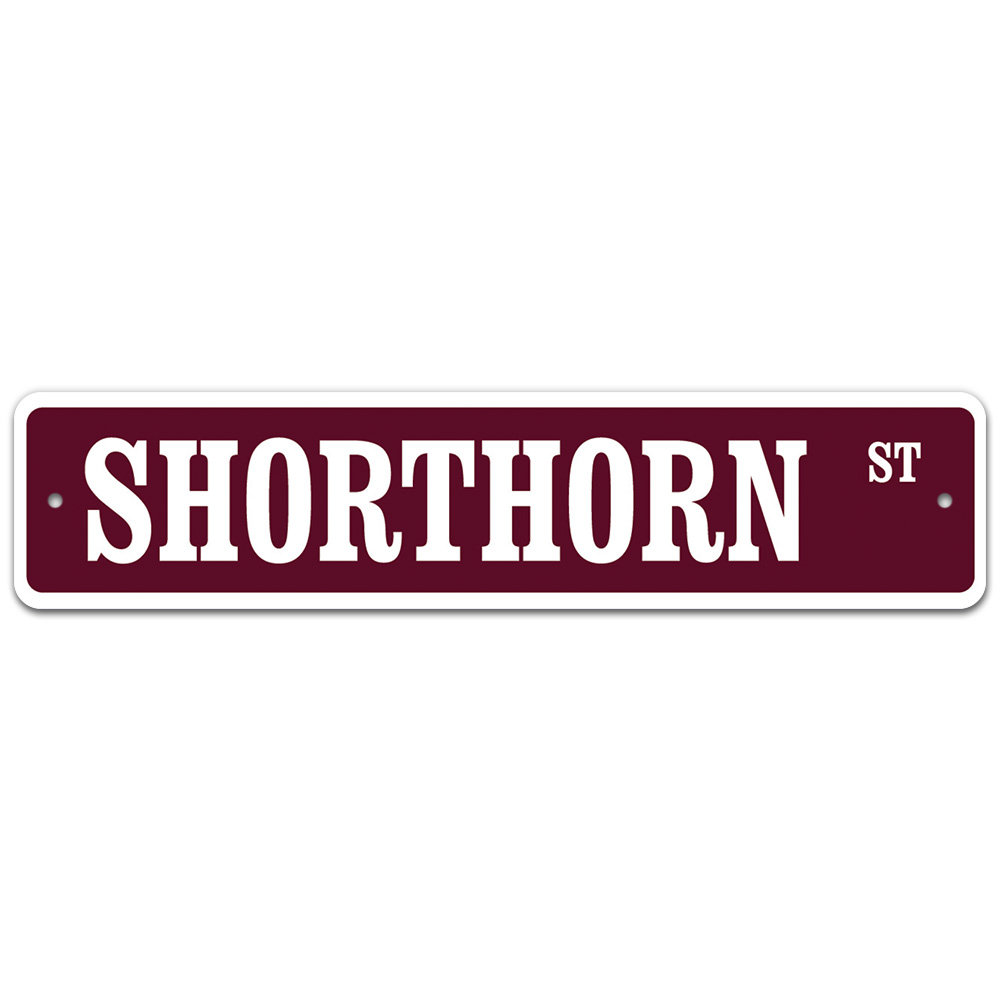 East Urban Home Street Sign | Wayfair