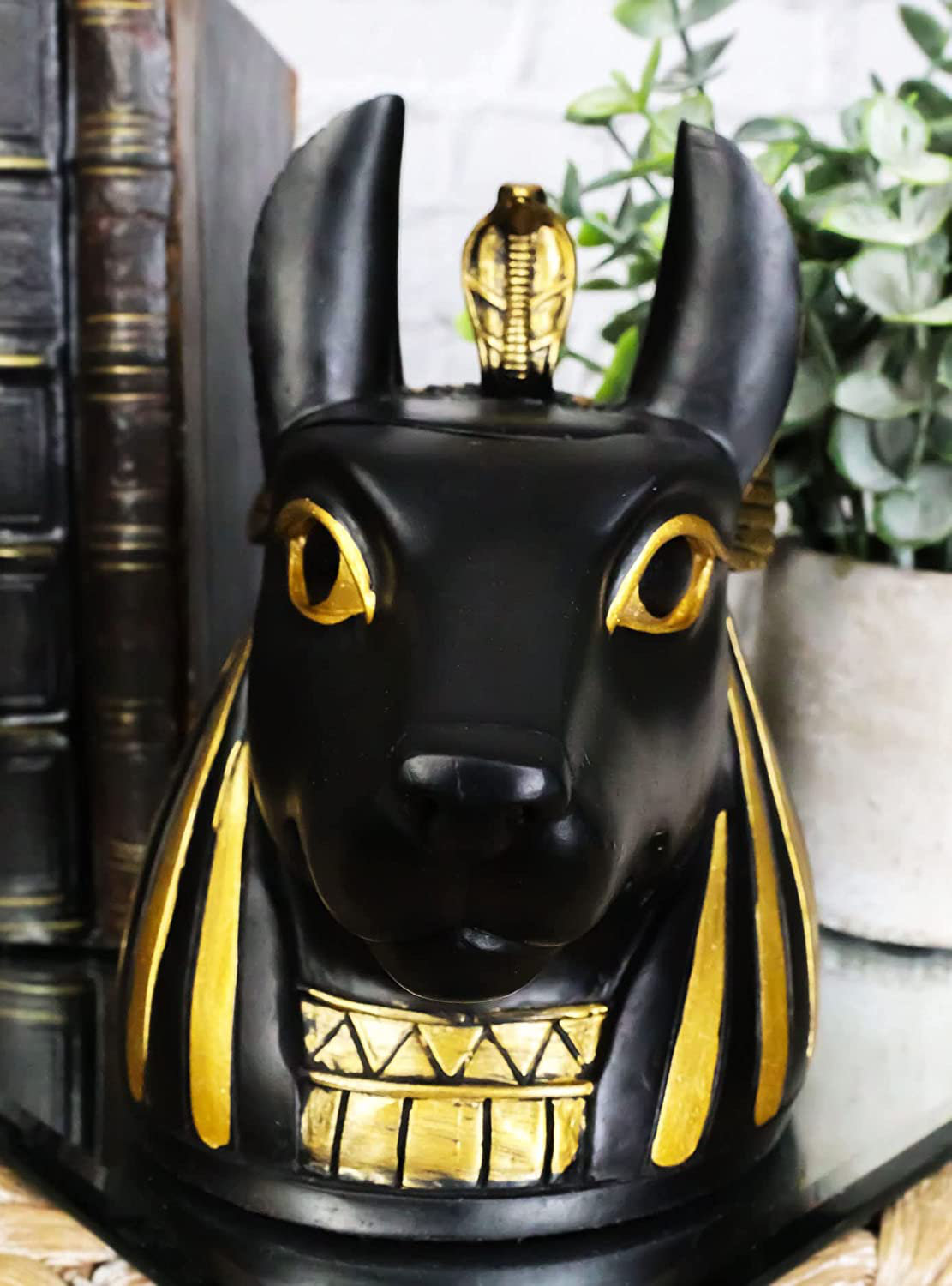 Trinx Ebros Egyptian God Anubis Jackal Dog Head Decorative Box Or ...