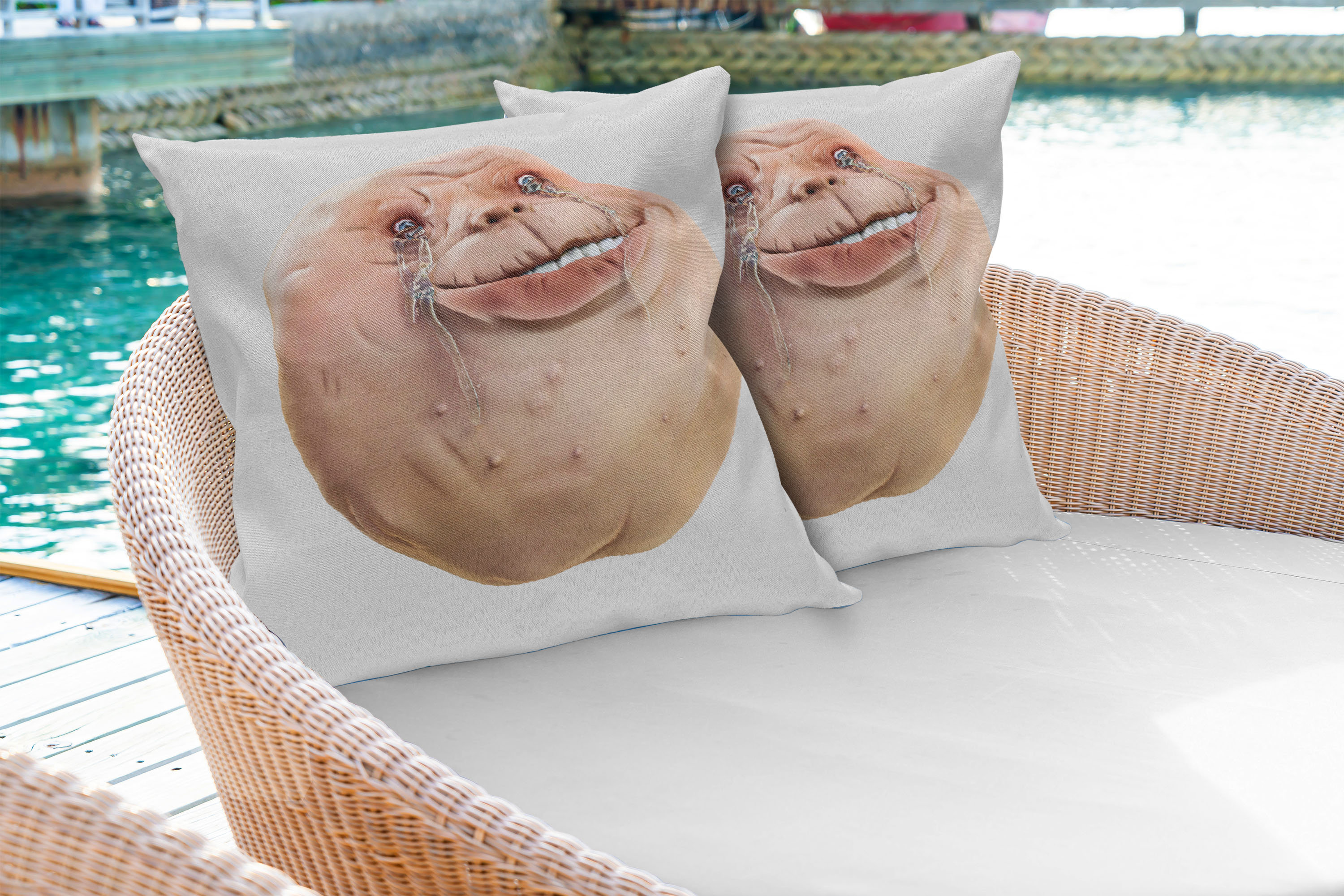 Ambesonne Humor Throw Pillow Case Forever Alone Meme Emoji Square ...