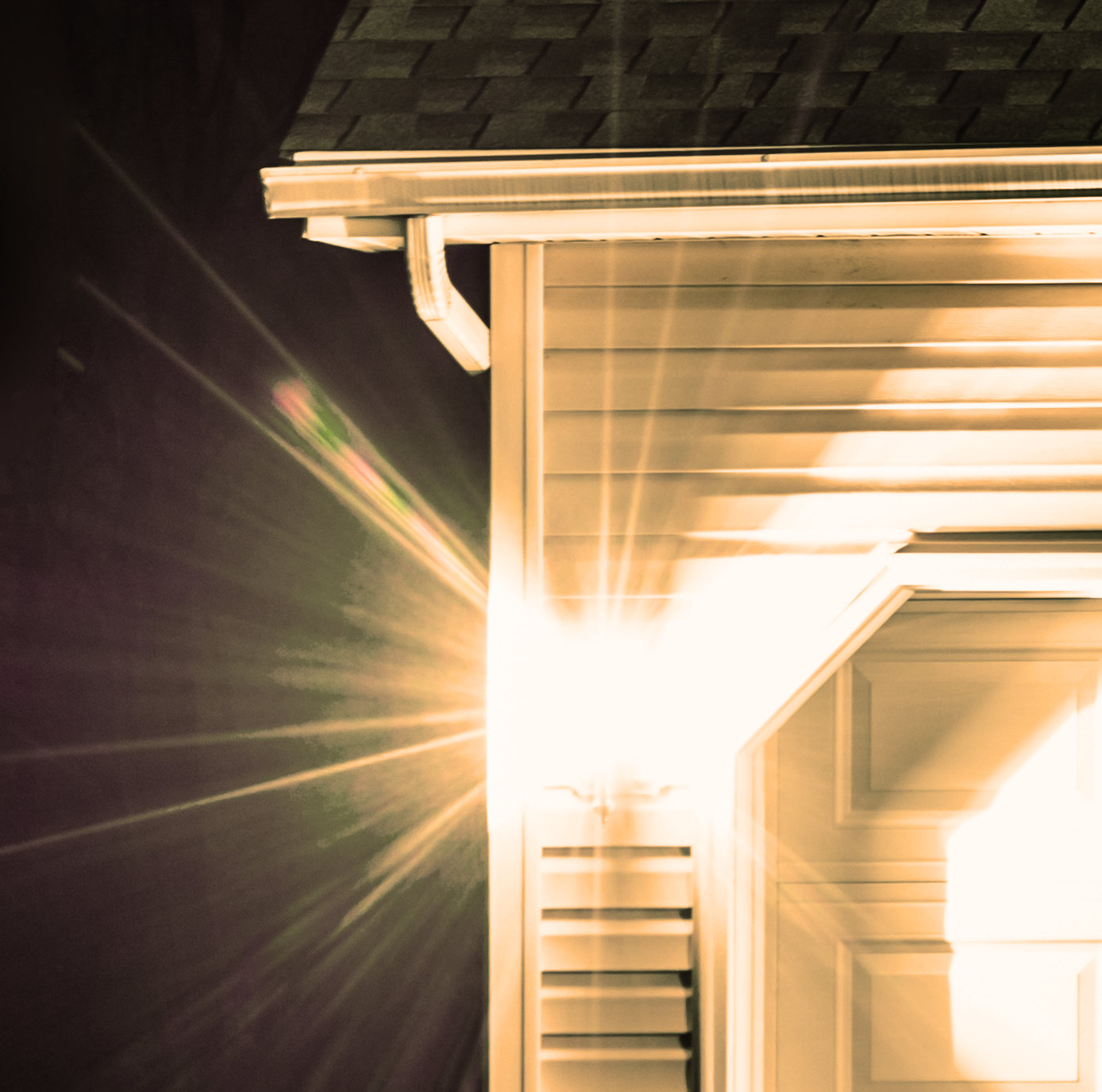 Matashi Crystal 24K Gold Plated Crystal Studded Star Fish LED Night ...