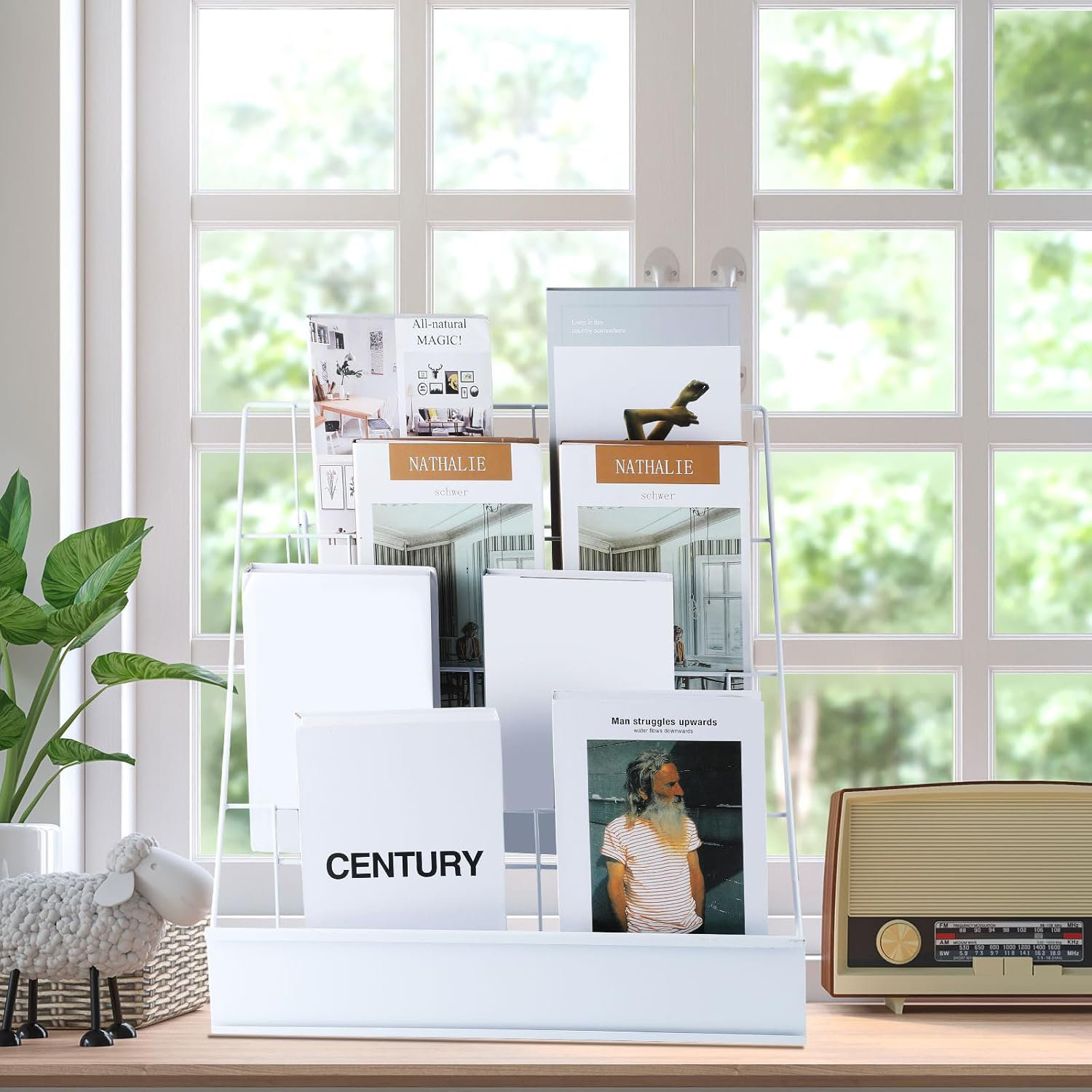 Hokku Designs Display Rack 4-Tiered Book Display Stand 18" Book Signing ...