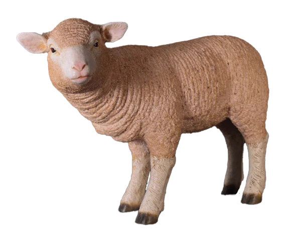 Rosalind Wheeler Buchler Merino Baby Lamb Life Size Statue | Wayfair