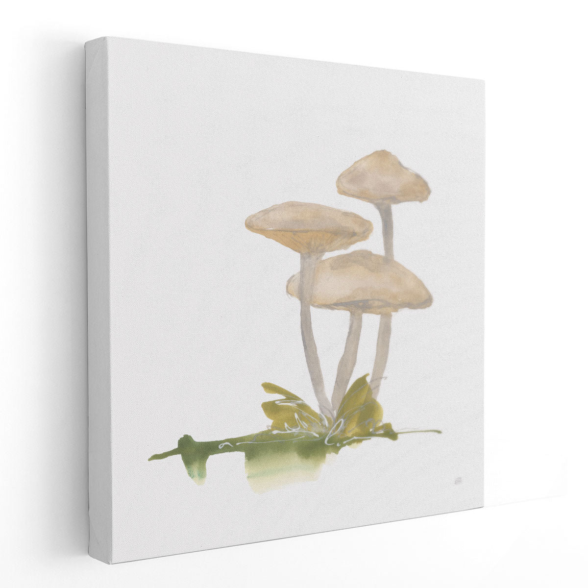 Gracie Oaks Mellow Mushrooms I - Canvas Print Wall Art | Wayfair
