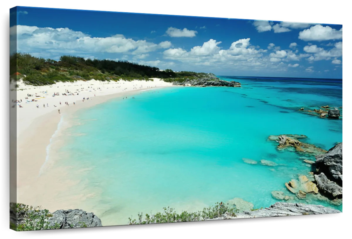 Elephant Stock Bermuda | Wayfair