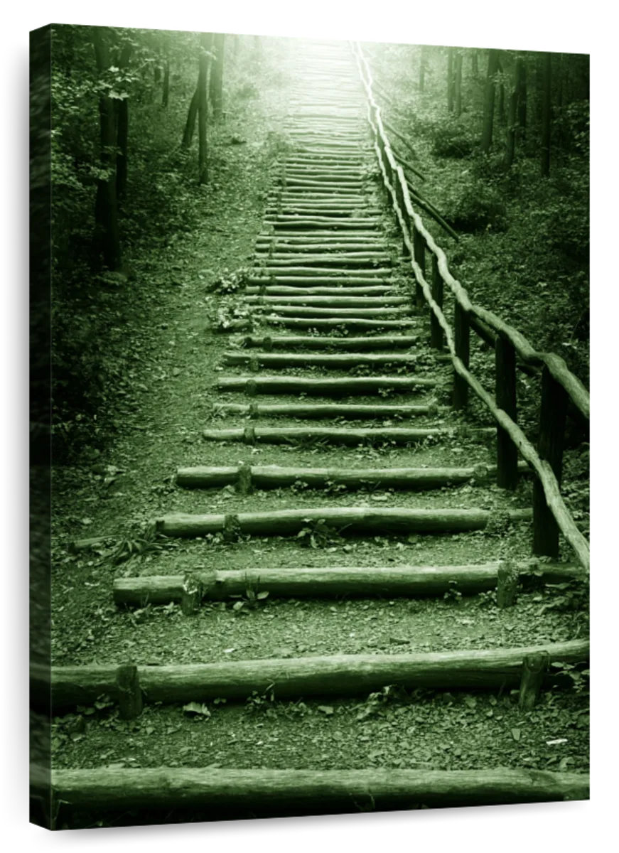 Ebern Designs Lilie Forest Staircase | Wayfair